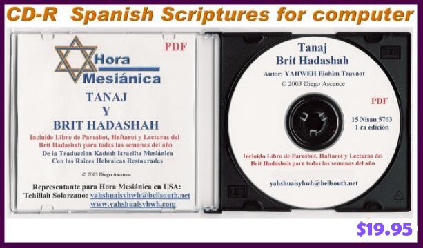 YHWHScripturesSabbathMessianicNatsarimIsraelYahushuaLewWhiteFossilizedC ...